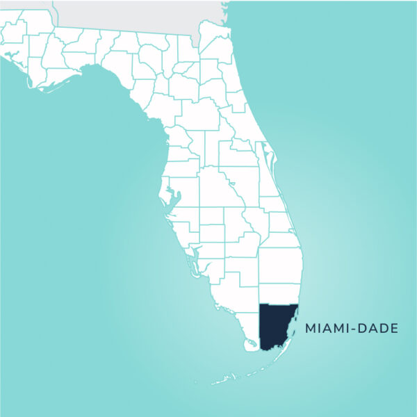 Miami-Dade County, FL Condos | The Luxury Team
