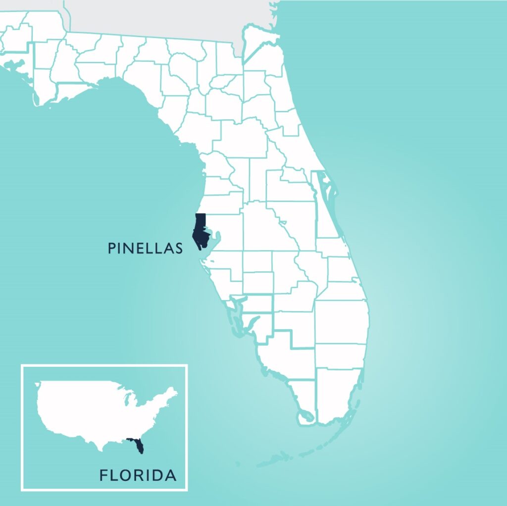 Pinellas County | The Luxury Team